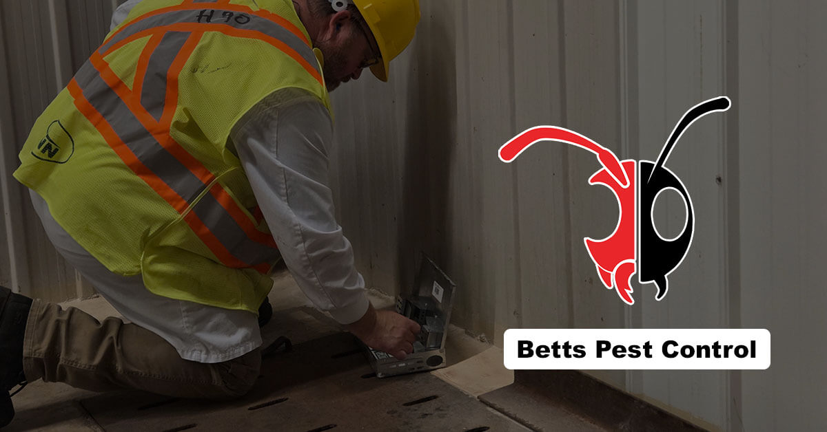 Betts Pest Control is your trusted pest control company, servicing most ...